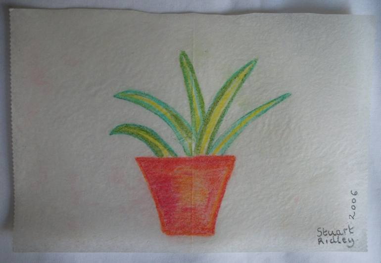 SPIDER PLANT Drawing by Stuart Ridley | Saatchi Art