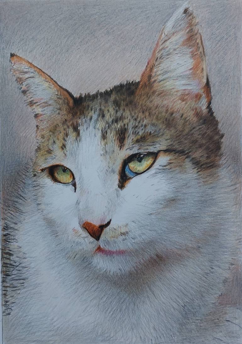 Vasiko Drawing by Tamar Nakaidze | Saatchi Art