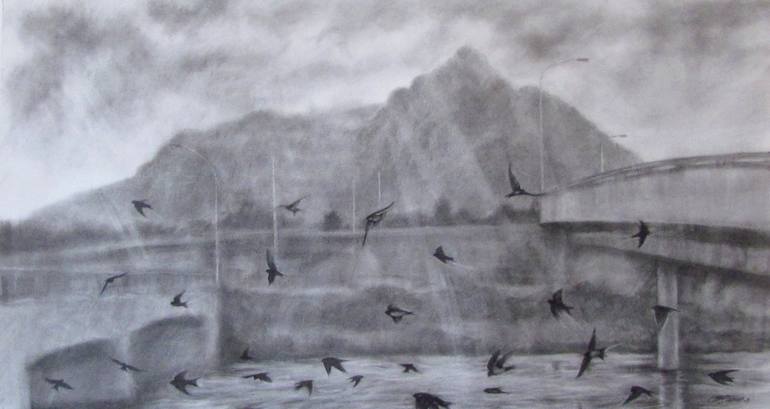 swallow swoop Drawing by Cathy Mcshannon | Saatchi Art