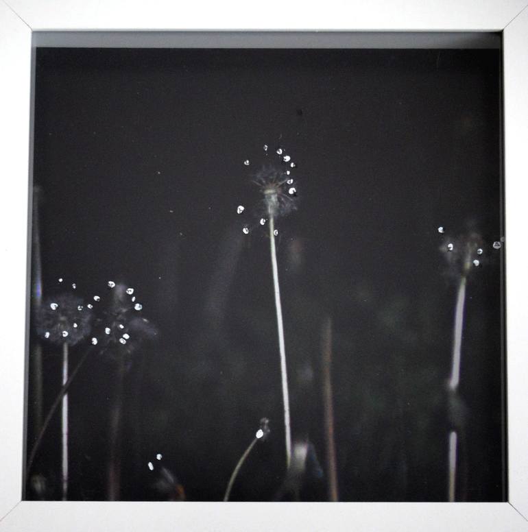 costellazione1 Drawing by valentina perazzini | Saatchi Art