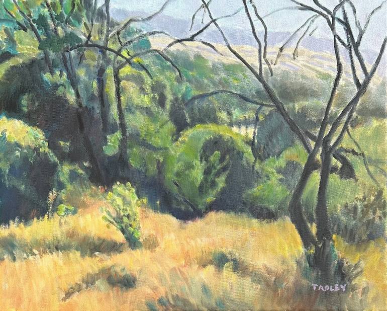 Lateral View of Coyote Hills Painting by George Tapley | Saatchi Art