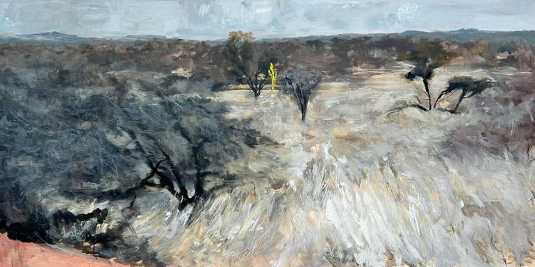 Desertification Painting by CláUdio Paschoal | Saatchi Art