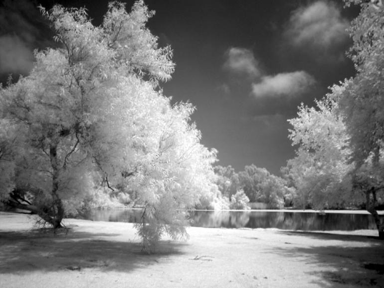 Why Here Photography by Robin Repp | Saatchi Art