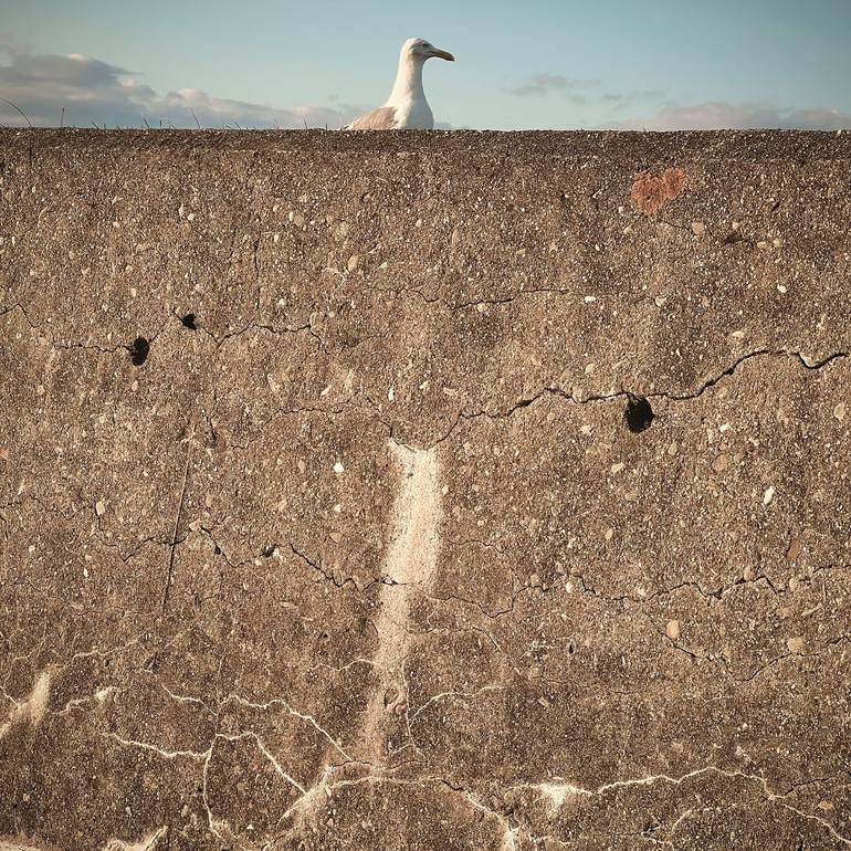 The Sandwich is Mine Photography by Yang Lin | Saatchi Art