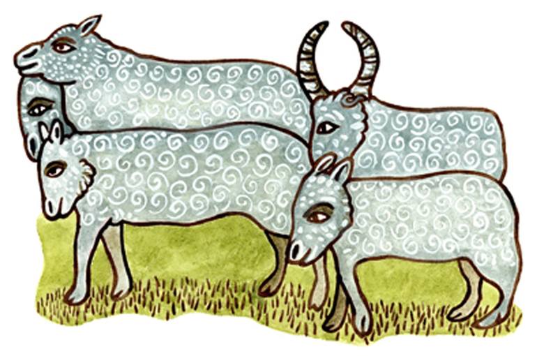 Medieval Sheep Painting by Steve Tomlinson Illustrations | Saatchi Art