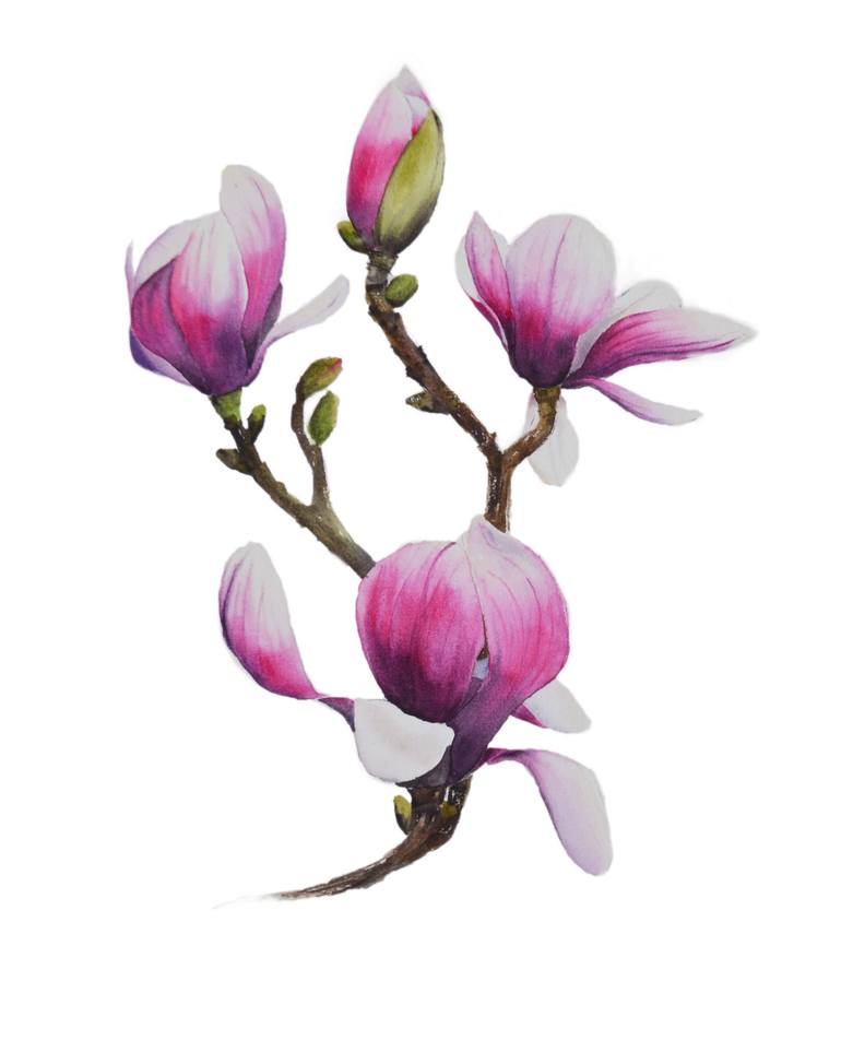 Magnolia Painting by Viktoriia Kovalenko | Saatchi Art