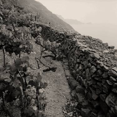 Massimo Conti | Saatchi Art