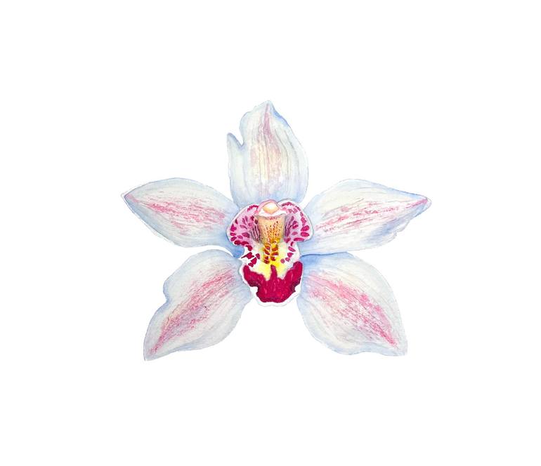 Lonely Orchid Painting by Olha Shulhina | Saatchi Art