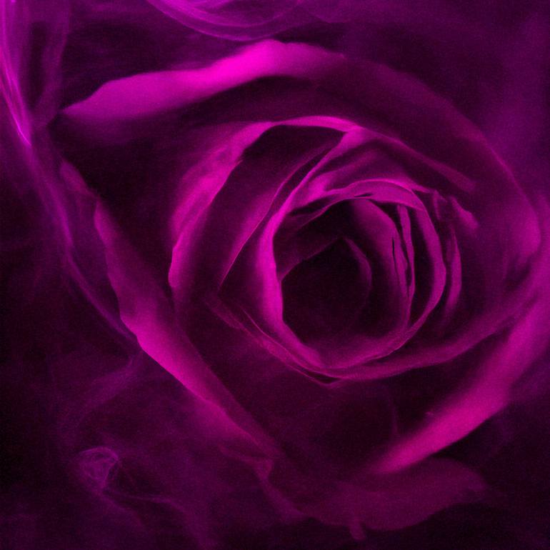 1 of 1 Photograph-Julie Jamison-10-JRS-Devotion–JAN25-NZ883421 ...