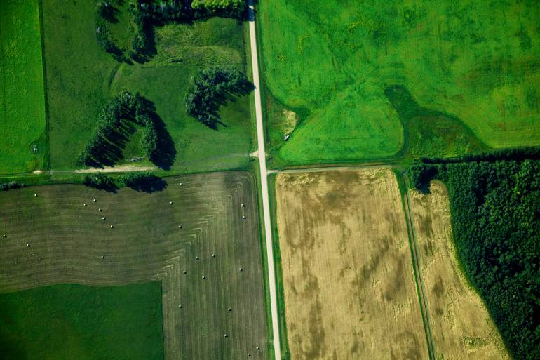 firmus 6.4 Photography by Nicholas Baratta | Saatchi Art