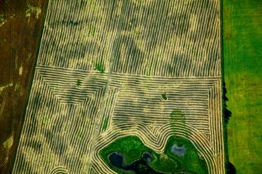 Nicholas Baratta Artworks | Saatchi Art