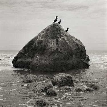 Nicholas Baratta Artworks | Saatchi Art