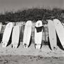 Surfboards in the Sun Photography by Nicholas Baratta | Saatchi Art