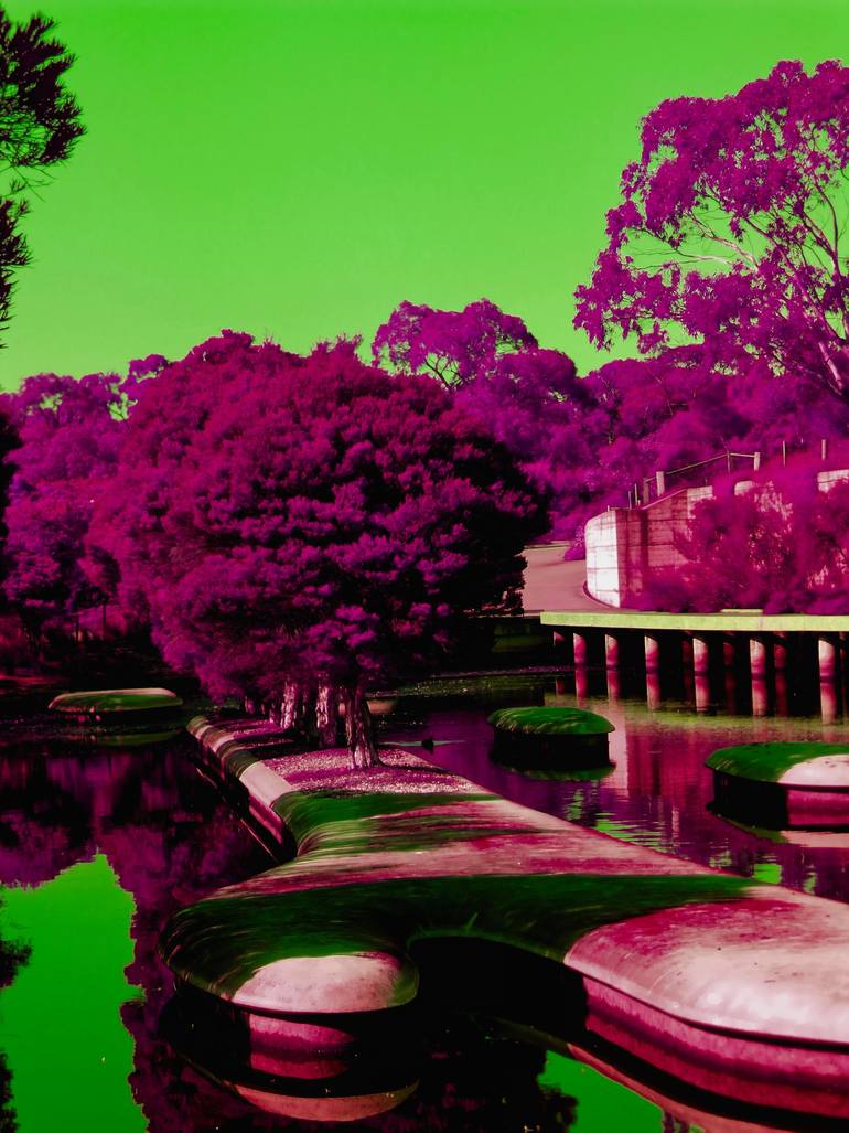 Electric Eden: Reflections of a Parallel Park Photography by Maxim ...