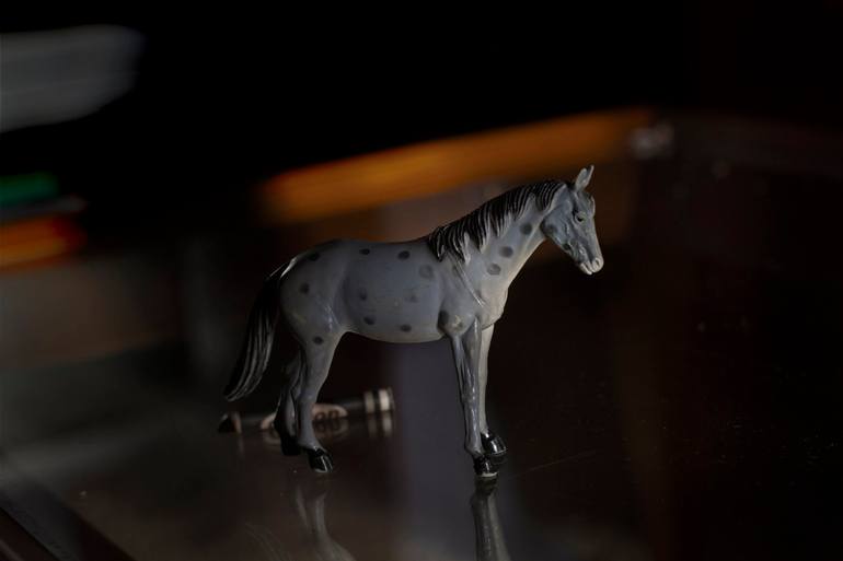 Grey Horse Black Crayon 7am Photography by Bernard Rudden | Saatchi Art