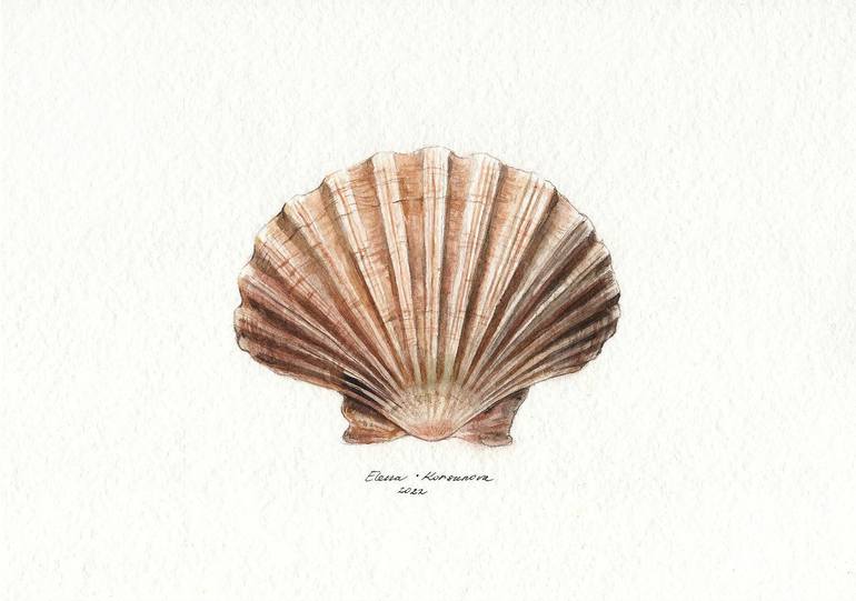 Watercolor painting of a Scallop shell Painting by Elena Korsunova ...