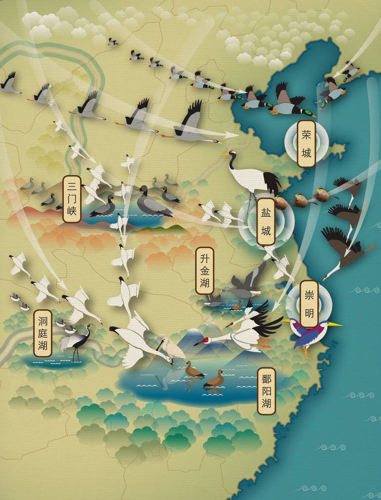 Bird Watching Map