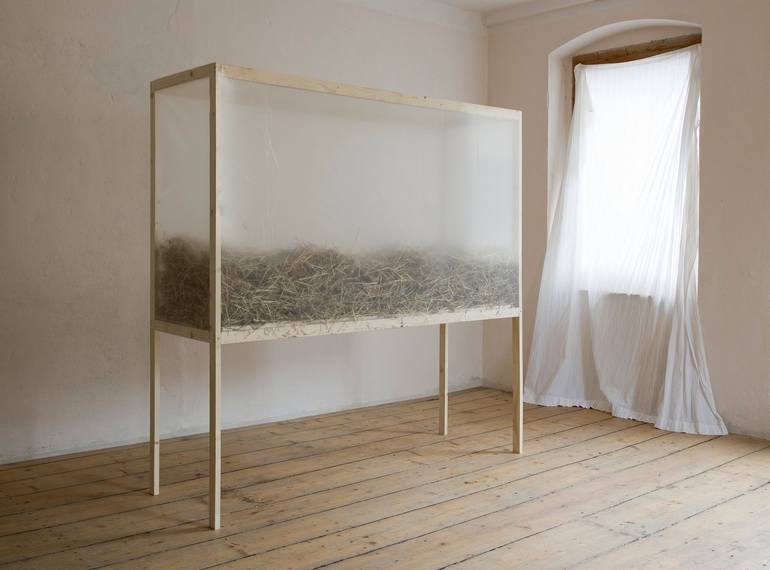 enclosed chamber 2 Installation by Magnus Sönning | Saatchi Art