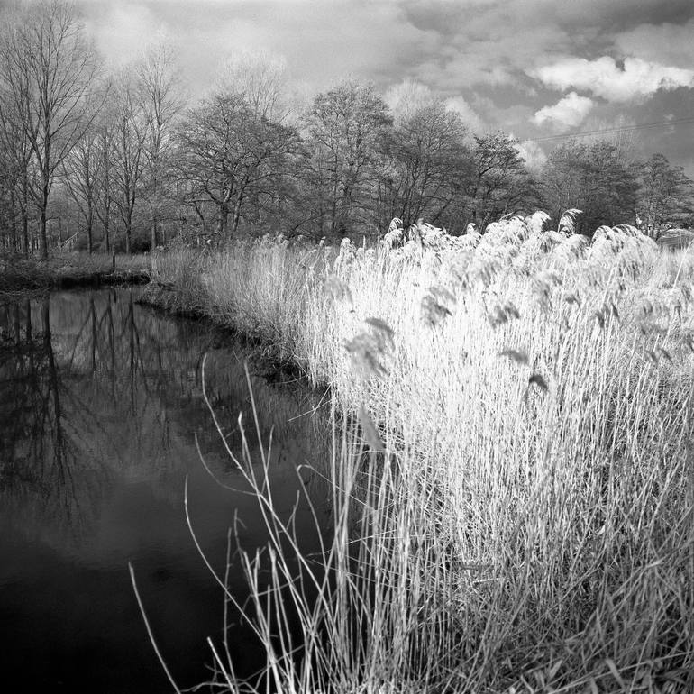 Alder Carr, Suffolk [Infrared Film] - Silver Gelatin Photography by ...