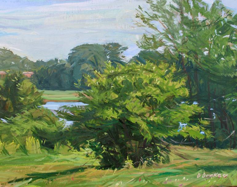 Stroudwater Meadow Painting by Donald Drake | Saatchi Art