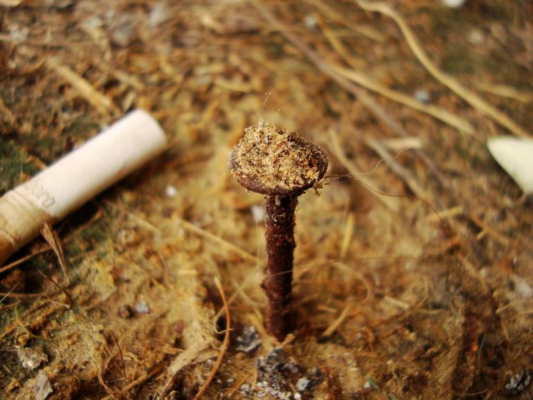 sad nail Photography by Alan Lew | Saatchi Art