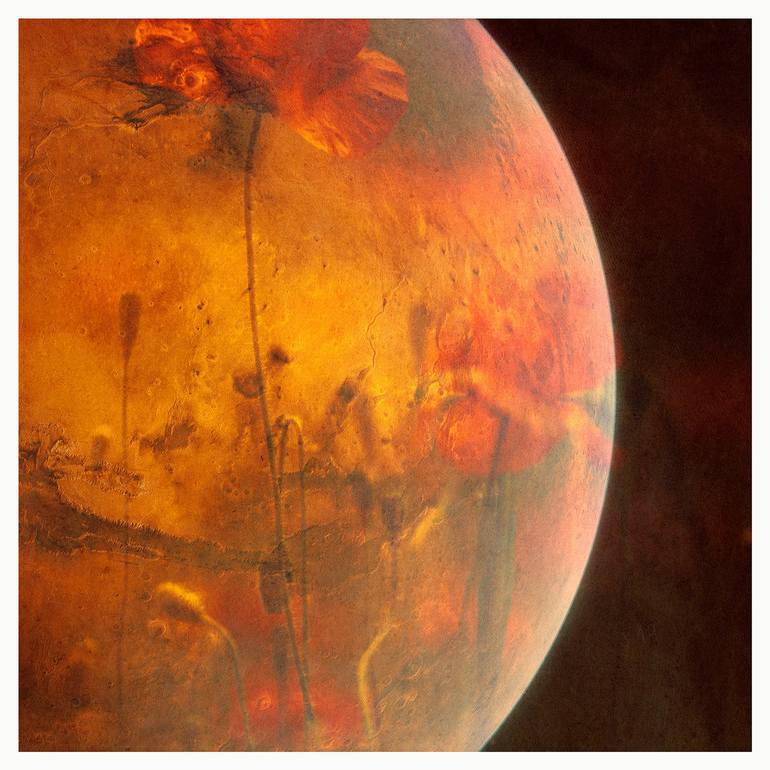 Are there really flowers on Mars? M3 - Limited Edition of 1 Photography ...