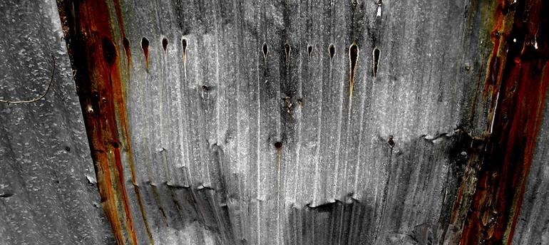 Scars Photography by Greg Lawrence | Saatchi Art