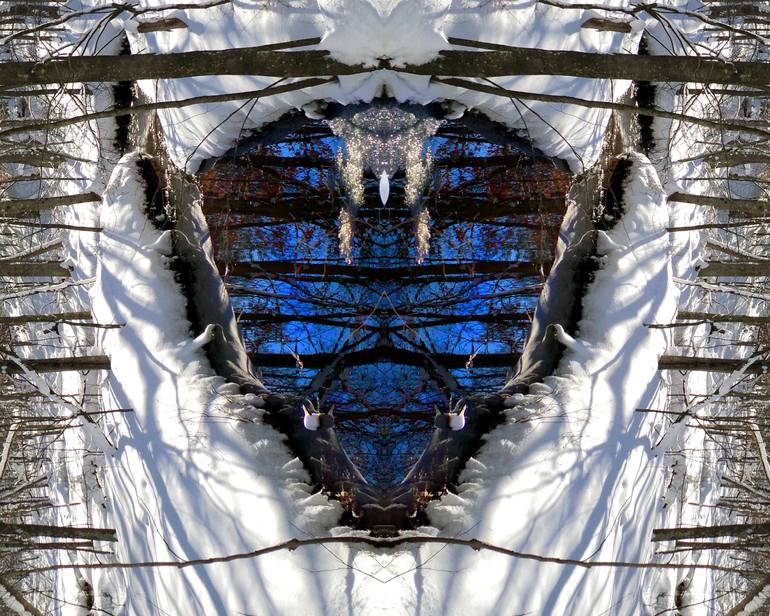 Reflection in the Woods Photography by Daniel Teafoe | Saatchi Art
