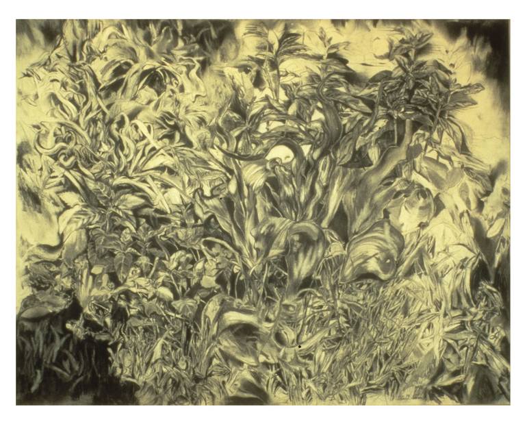 Garden Splendor Drawing by Shane Sherer | Saatchi Art