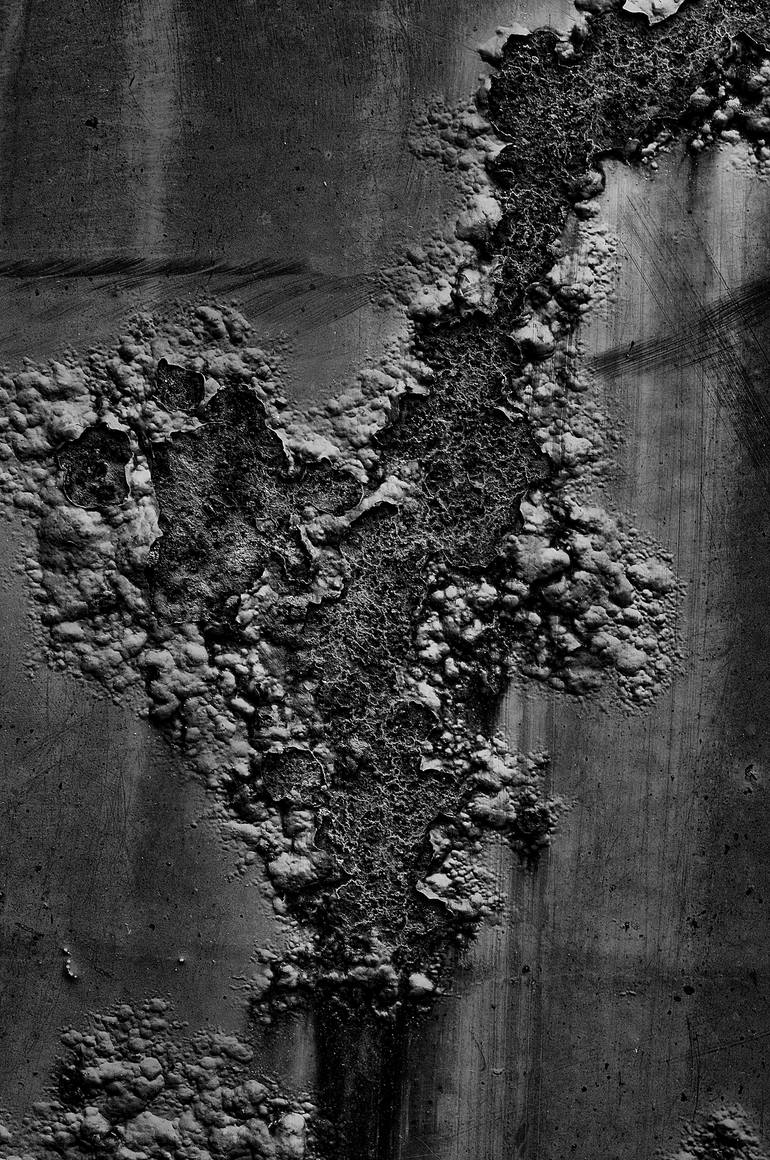 Texture still life Photography by Jean-Francois Dupuis | Saatchi Art