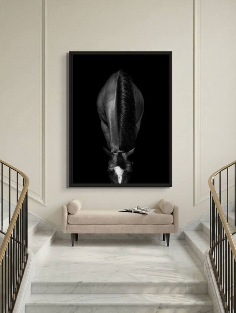 Light Blue II (XXL) — Equine Spine Series Photography by Irina Kazaridi ...