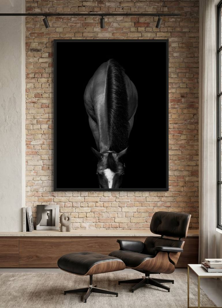 Light Blue II (XXL) — Equine Spine Series Photography by Irina Kazaridi ...