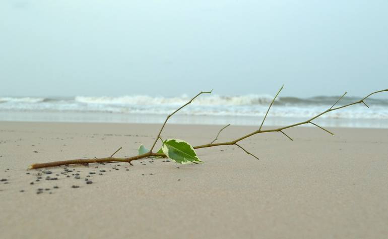 One Morning @ Baga Beach Photography by Sameer Kulkarni | Saatchi Art