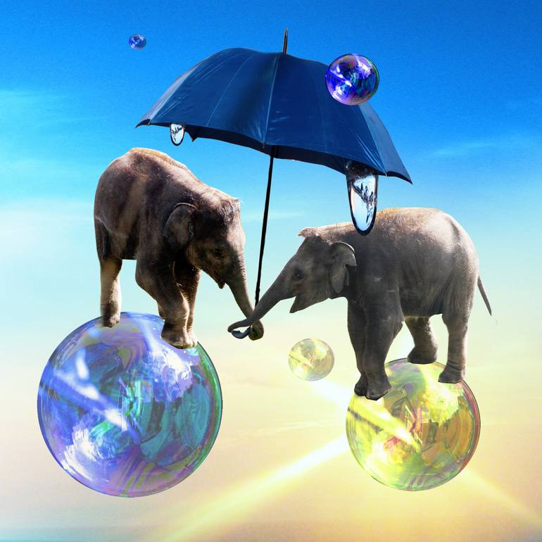Elephant Bubble Photography by Emily Campbell | Saatchi Art