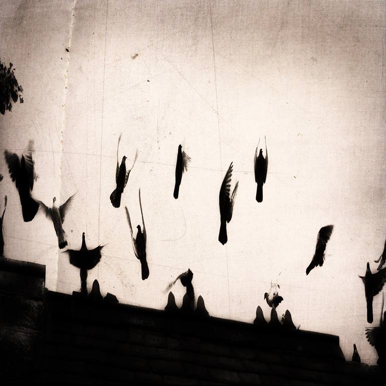 Al the birds of the air fell a-sighing and a-sobbing Photography by ...