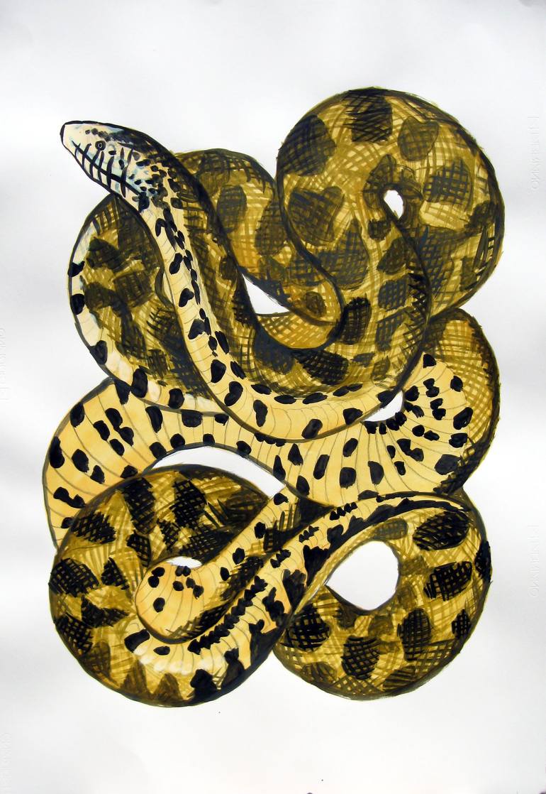 Curled Snake Painting by Mary Nicholson | Saatchi Art