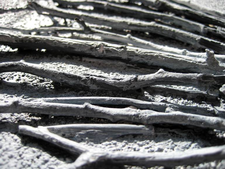 Driftwood Photography by Eva-Maria Becker | Saatchi Art