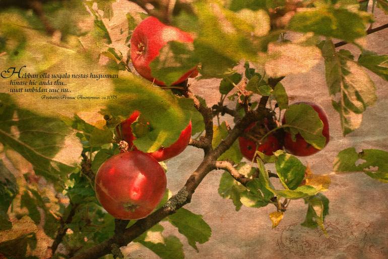 The Four Seasons - Spring Photography by John Bour | Saatchi Art