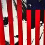 Camp America Painting by Conor Collins | Saatchi Art