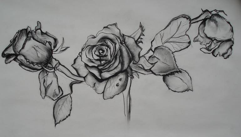 Beauty and Decay Drawing by Heather Morrison | Saatchi Art