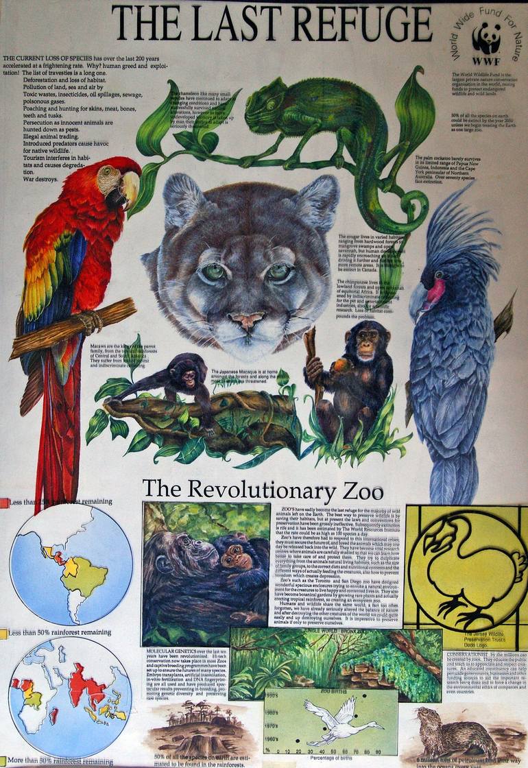 World Wildlife Fund Poster Painting by Kirsty O'Leary-Leeson | Saatchi Art