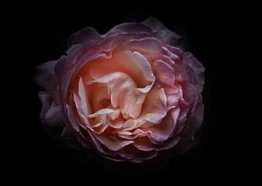 Brian Carson Artworks | Saatchi Art