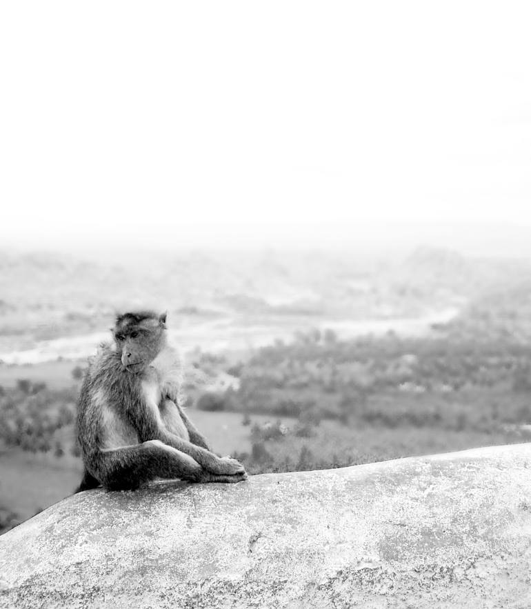 Hanuman Photography by Red Tiga | Saatchi Art