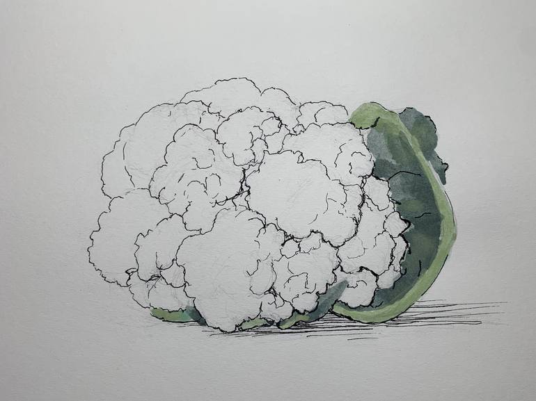 Cauliflower Drawing