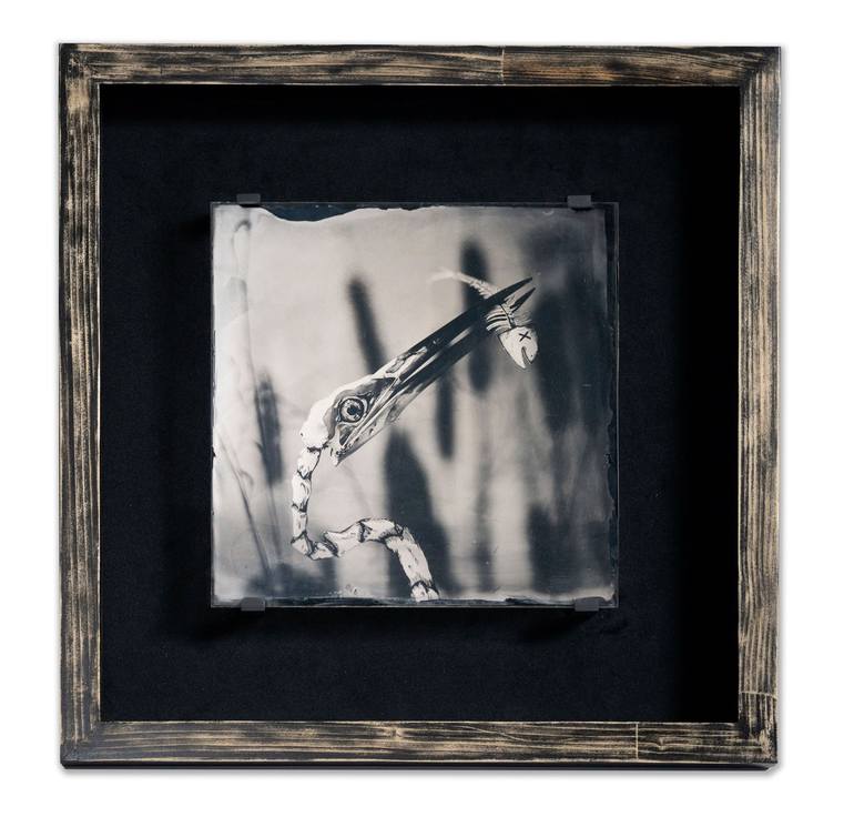 Two Skeletons - Ambrotype Photography by David Heger | Saatchi Art
