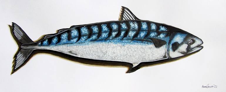Mackerel Drawing by Ronan Crowley | Saatchi Art
