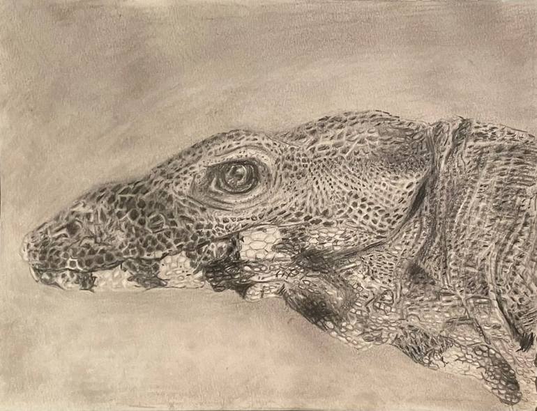 Reptile Mind Drawing by Thomas Thorn | Saatchi Art