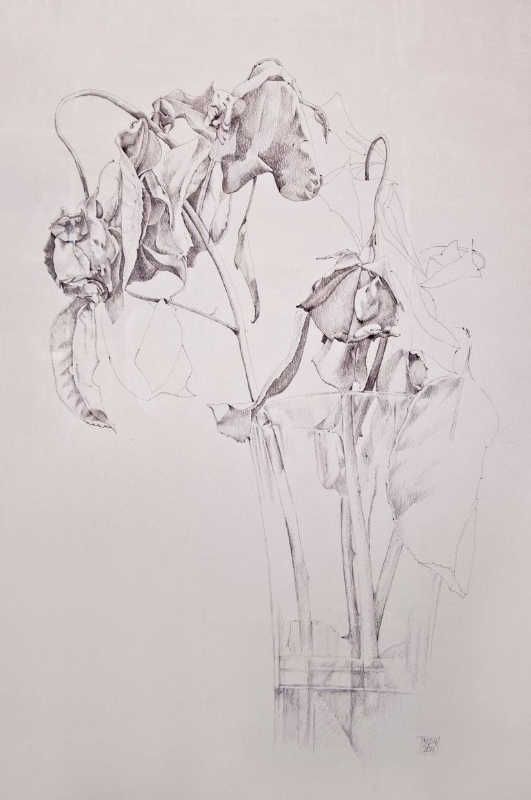 Vanitas Drawing by Donata Napoli | Saatchi Art