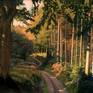 Mortimer Trail 1 Painting by Russell Gilder | Saatchi Art