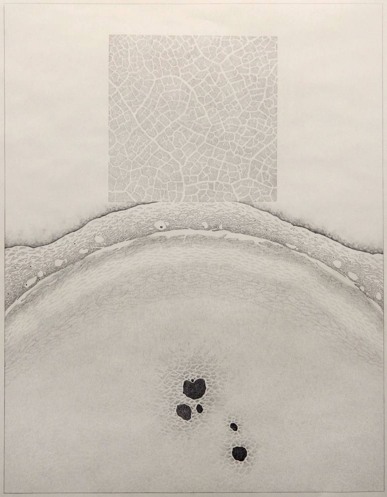 Photosynthetic Mimetic Drawing by John Mitchell | Saatchi Art